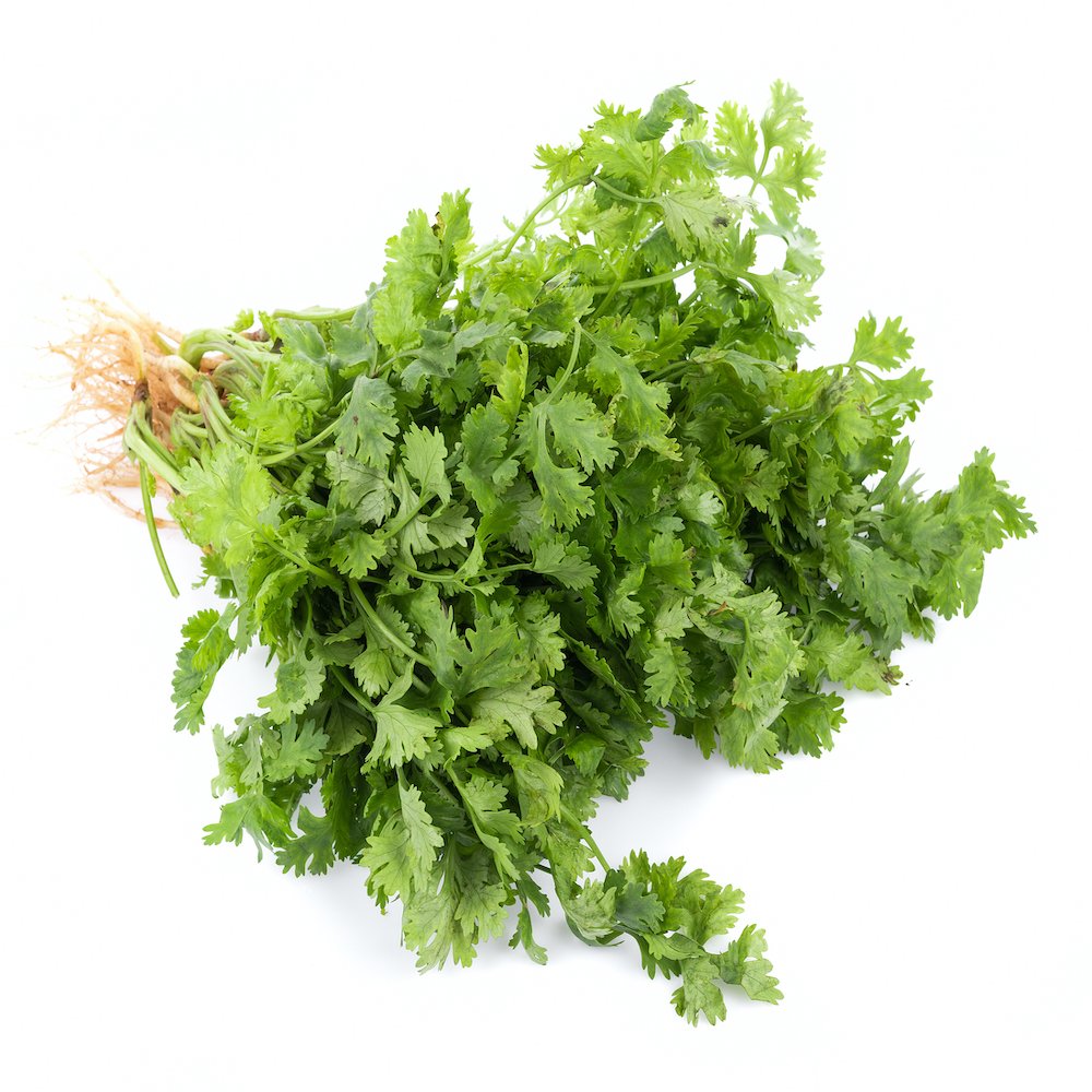 Coriander Leaf (Dhaniya) - Farmers Family